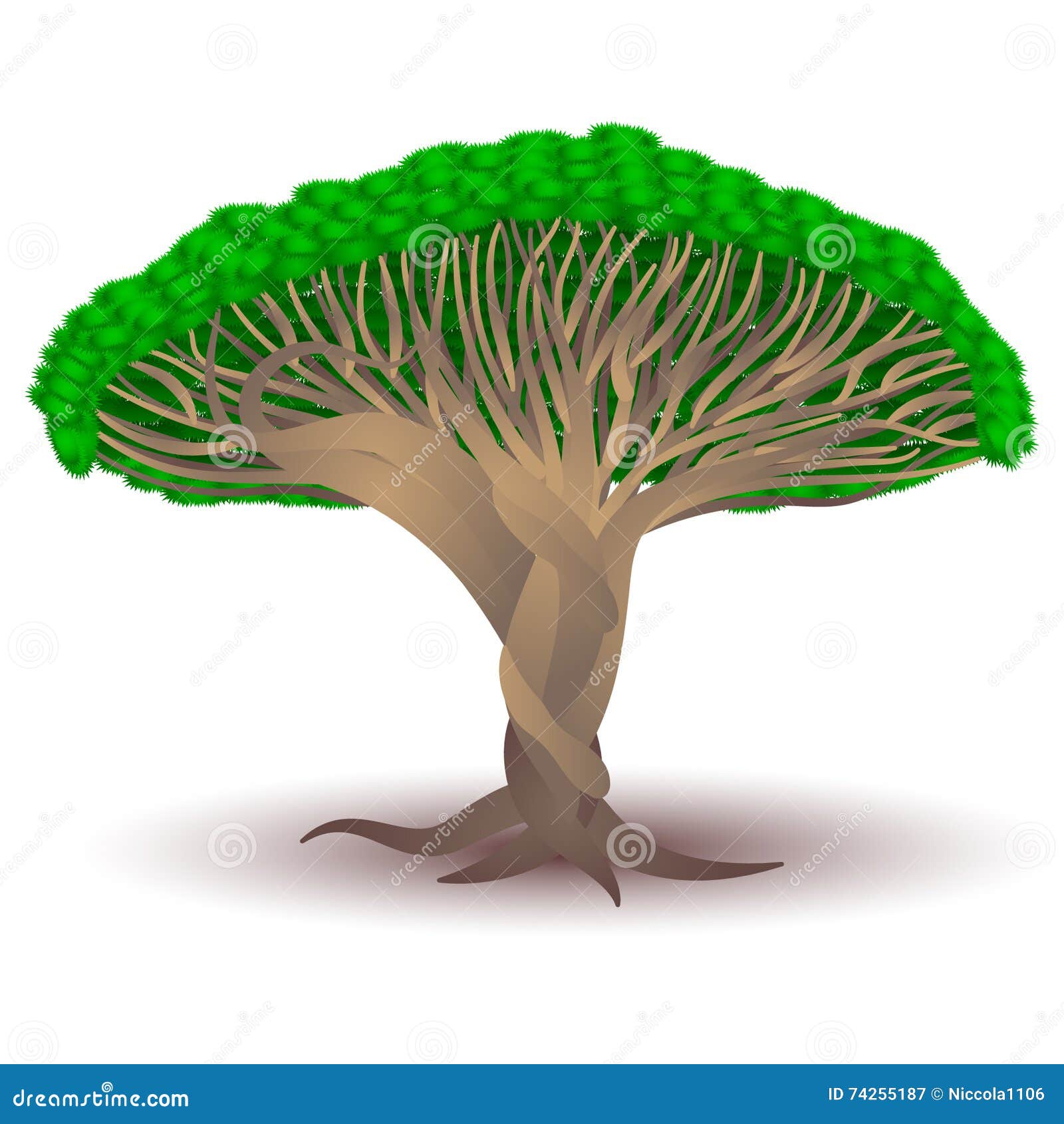 Dragon Blood Tree Silhouette At Sunset. Vector Illustration ...