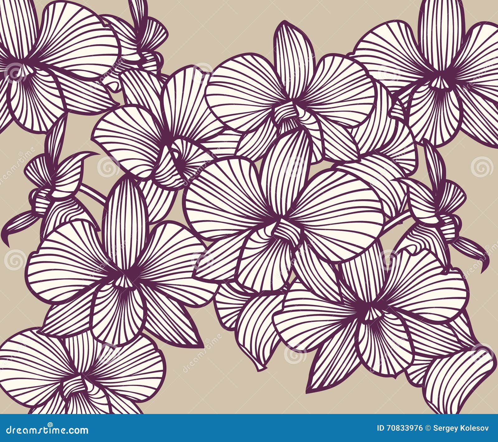 Drawing Orchids Stock Illustrations – 4,698 Drawing Orchids Stock ...