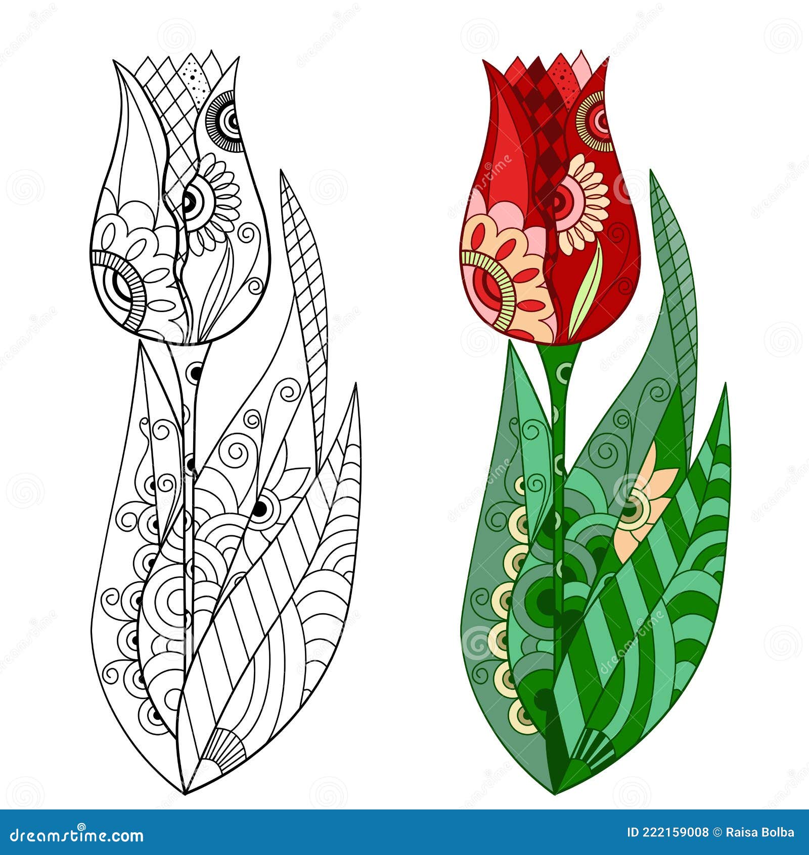 Stylized Drawing of a Tulip with a Doodle Pattern on a White Background ...