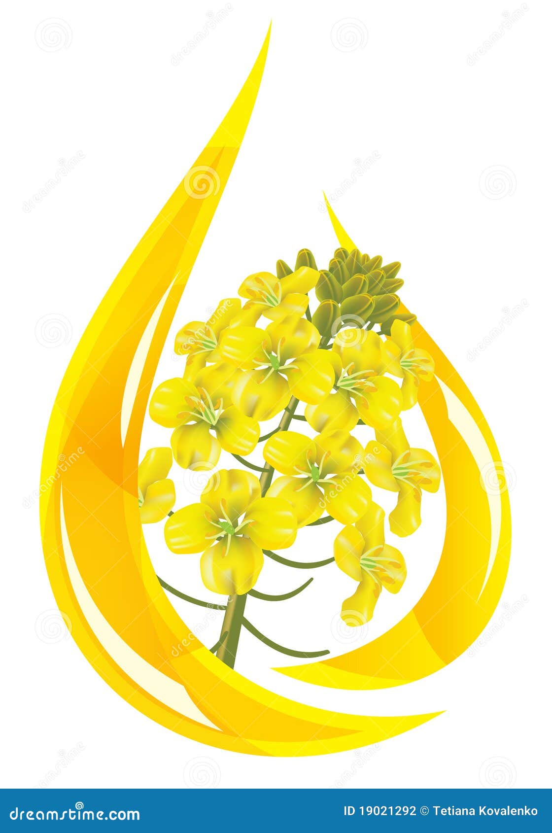 Rapeseed Cartoons, Illustrations & Vector Stock Images - 5965 Pictures ...