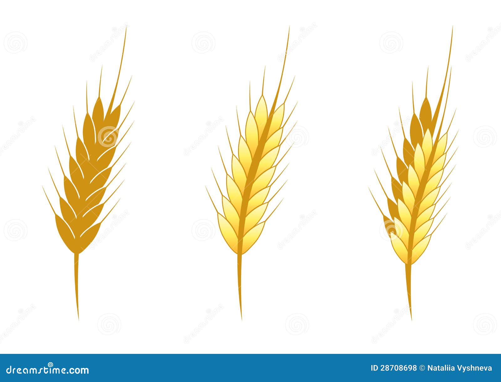 Stylized Ear Of Wheat Vector Illustration | CartoonDealer.com #28708698
