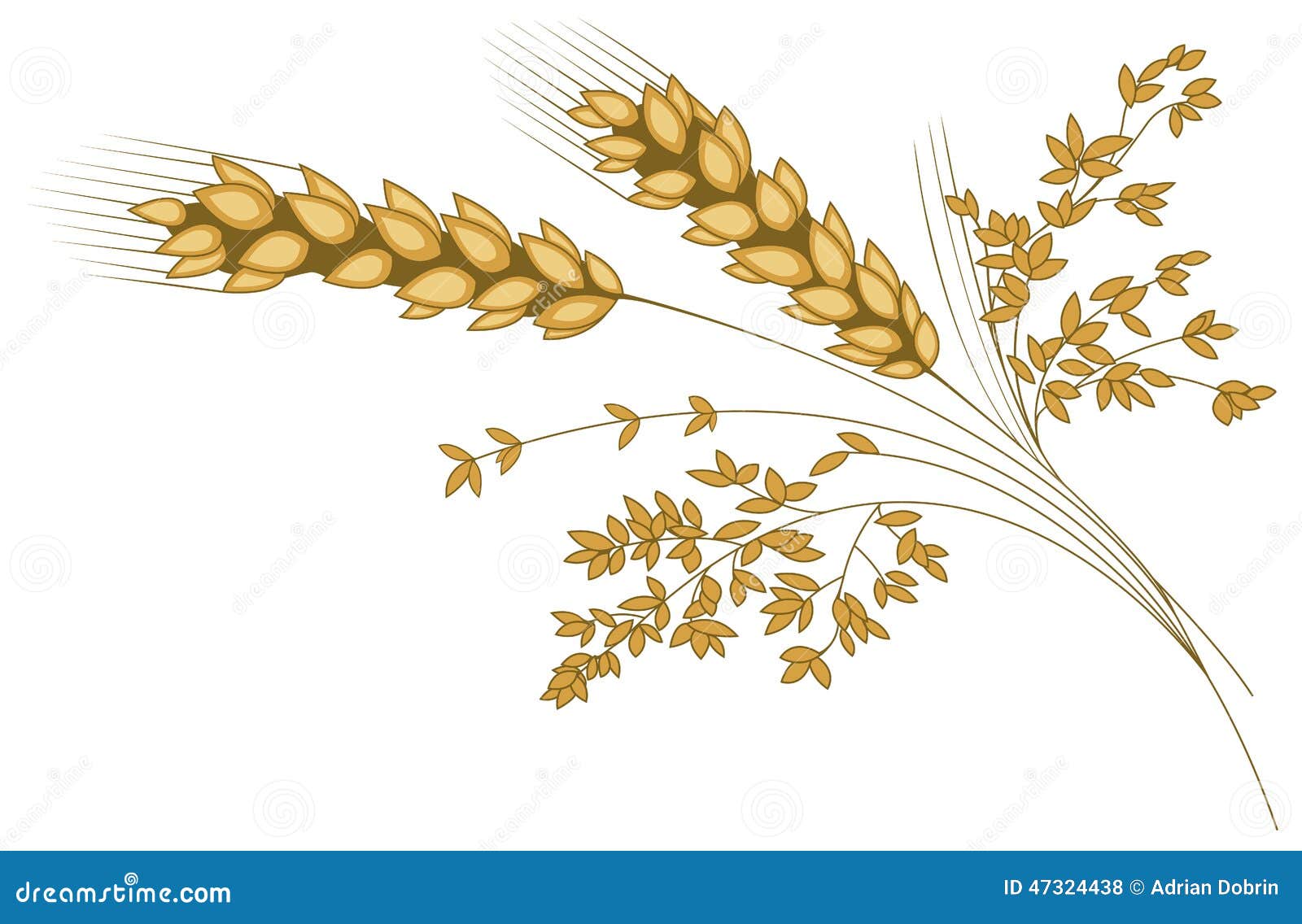 Stylized ear of wheat stock vector. Illustration of farm - 47324438