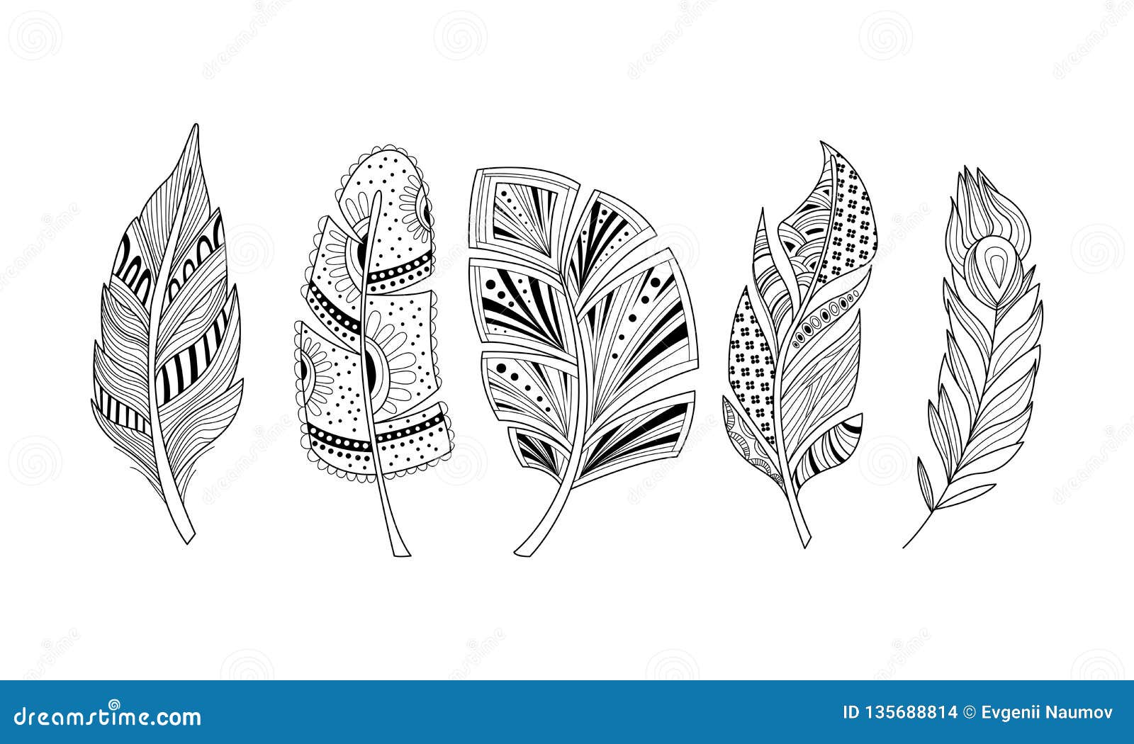 Stylized Feathers Set, Black and White Tribal, Artistically Drawn ...