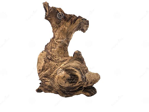 Stylized Figure of a Fish from a Tree Root Stock Photo - Image of fish ...