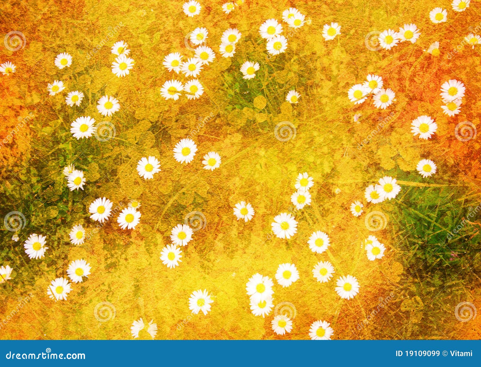 Stylized floral picture stock image. Image of gowan, daisy - 19109099