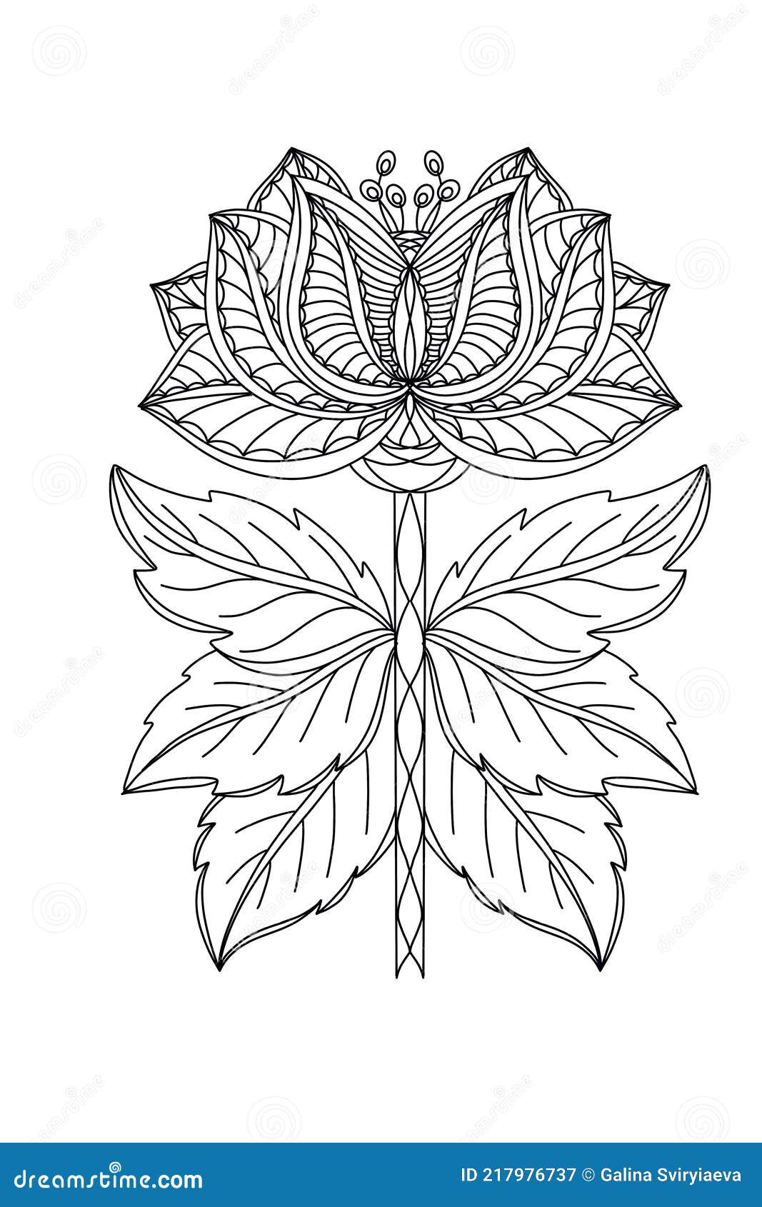 Stylized Flower Drawing Lines for Coloring on a White Background Stock ...