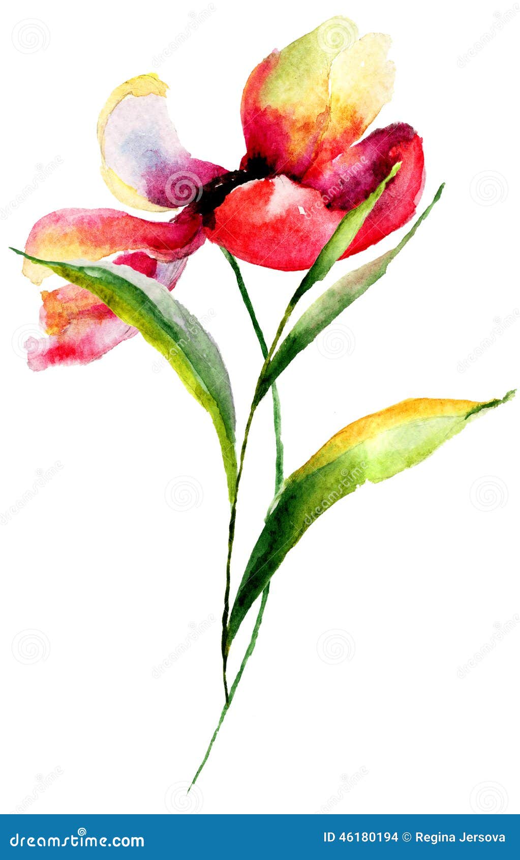 Stylized Flower Design Isolated On White Background, Round Design ...