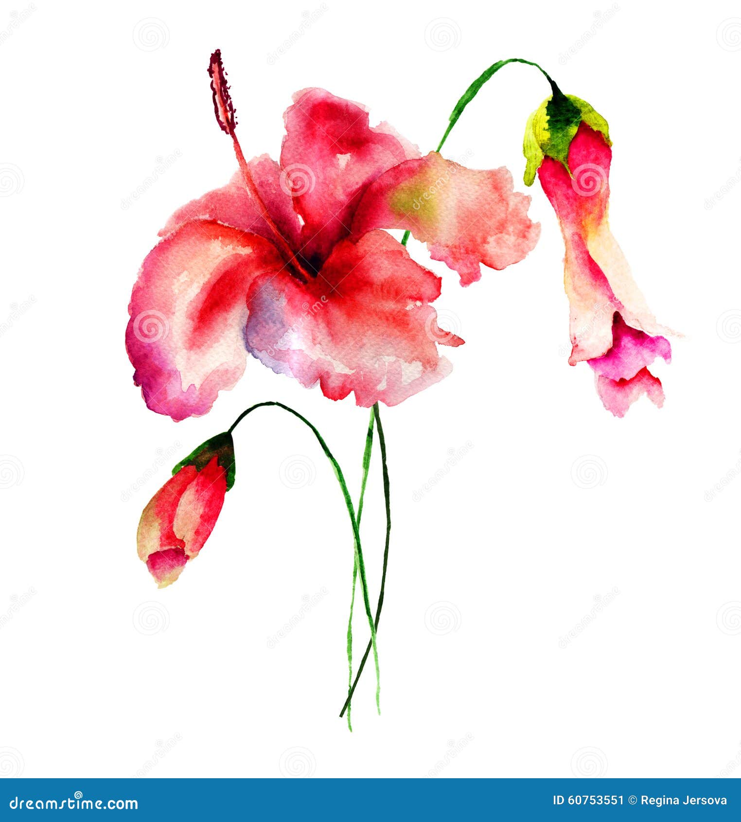 Stylized Flowers Watercolor Illustration Stock Illustration ...