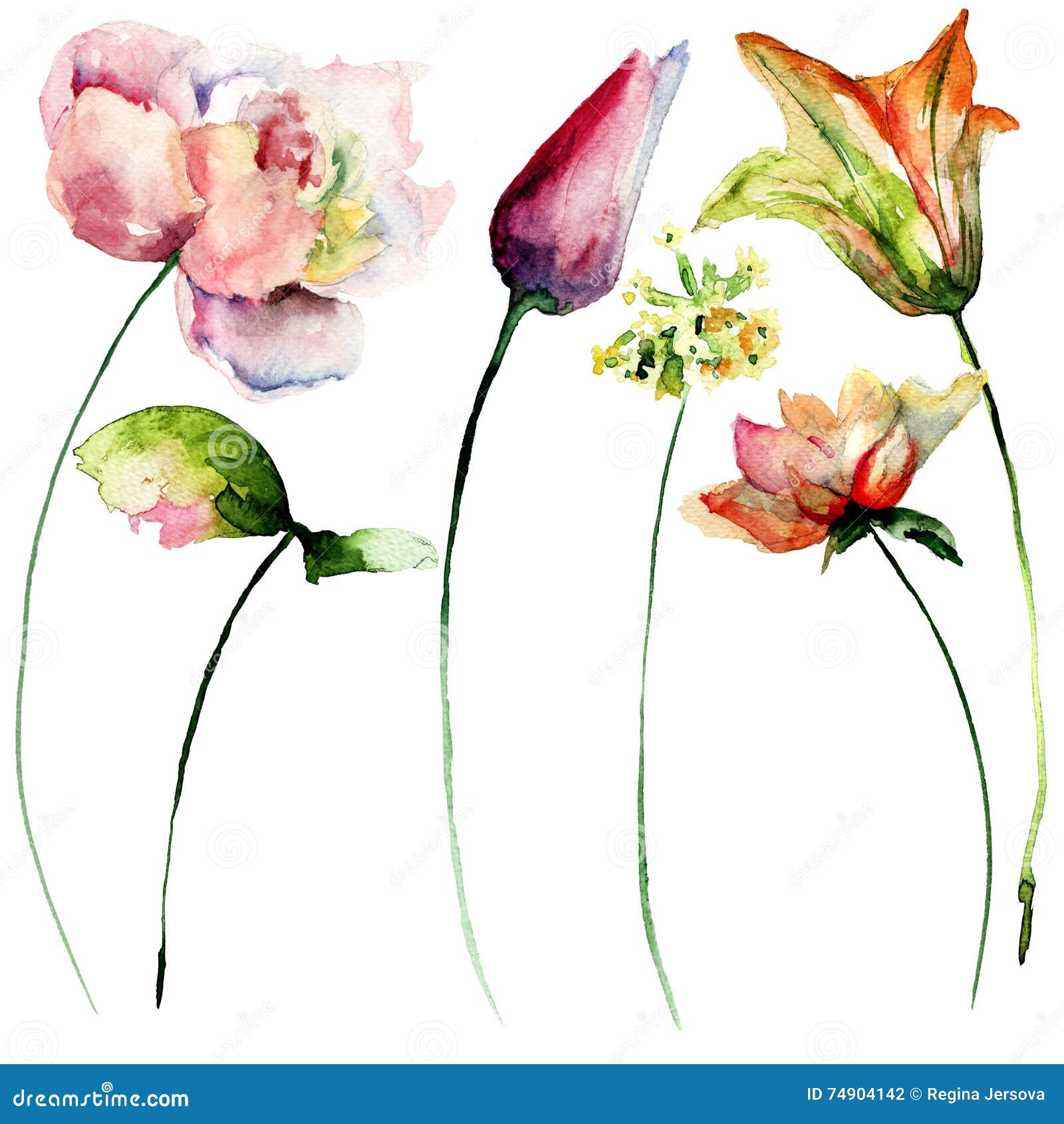 Stylized Flowers Watercolor Illustration Royalty-Free Cartoon ...
