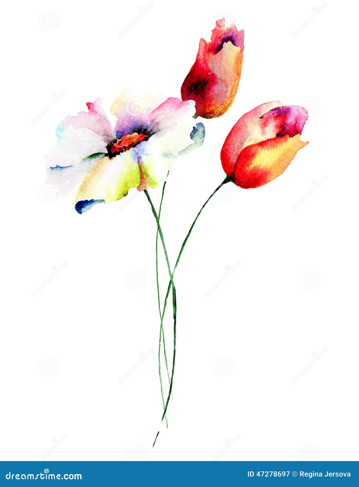 Stylized Flowers Watercolor Illustration Stock Illustration ...