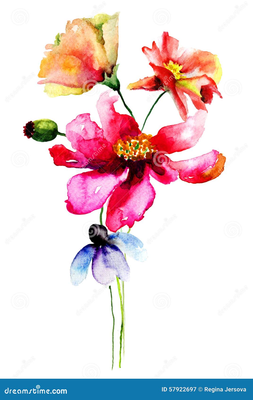 Stylized Flowers Watercolor Illustration Stock Illustration ...