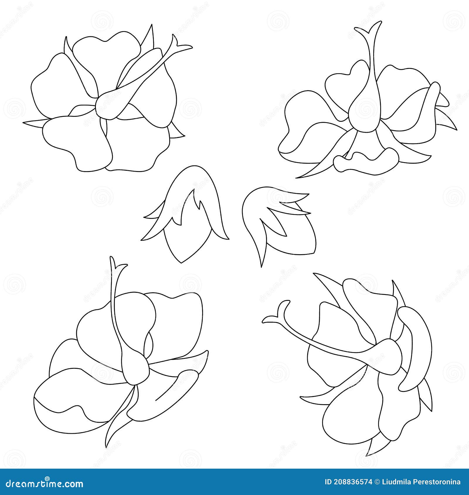 Stylized Geranium Flowers in Different Angles. Outline Black and White ...