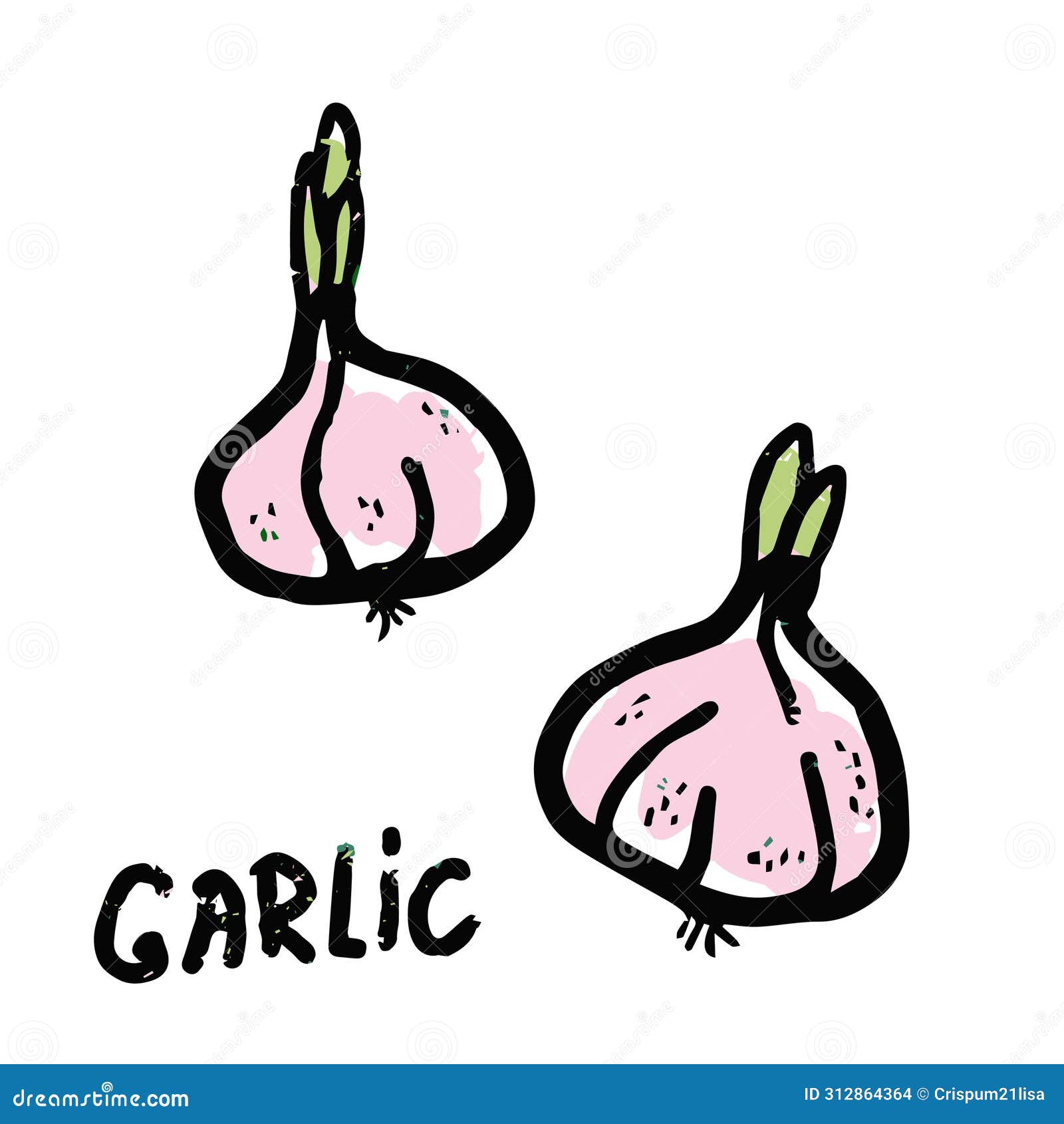 Stylized Graphic Garlic Vector Set Stock Vector - Illustration of black ...