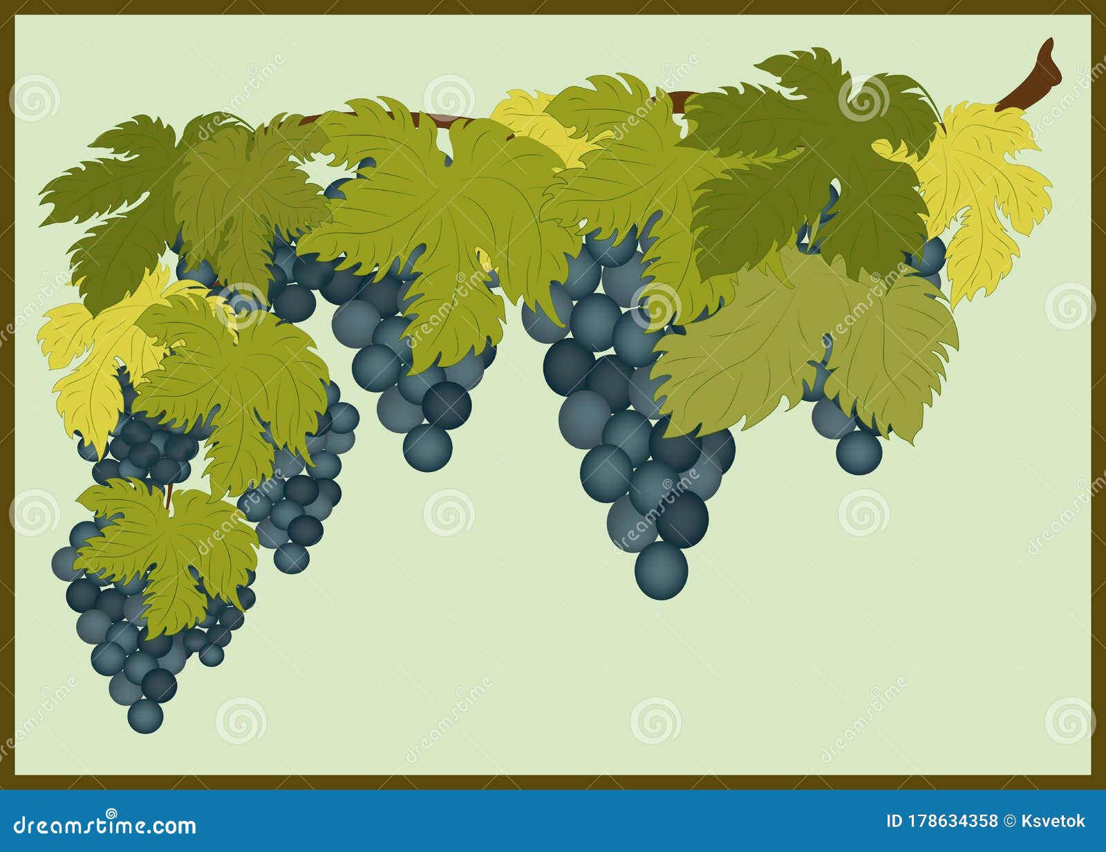 Stylized Graphic Image of a Vine with Grapes. Horizontal Pano Stock ...