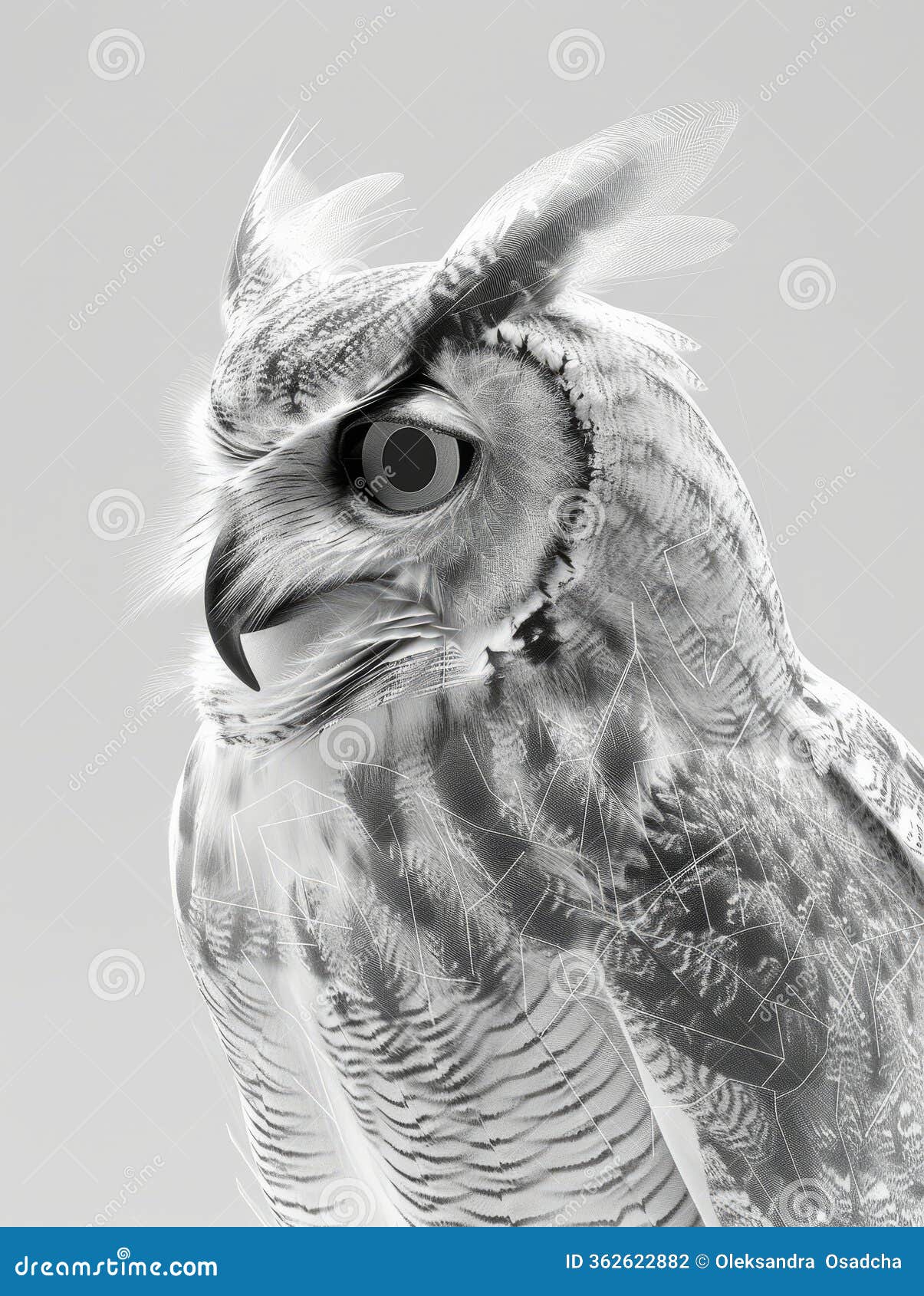 Stylized Grayscale Image of an Owl in a Majestic Pose. Stock Photo ...