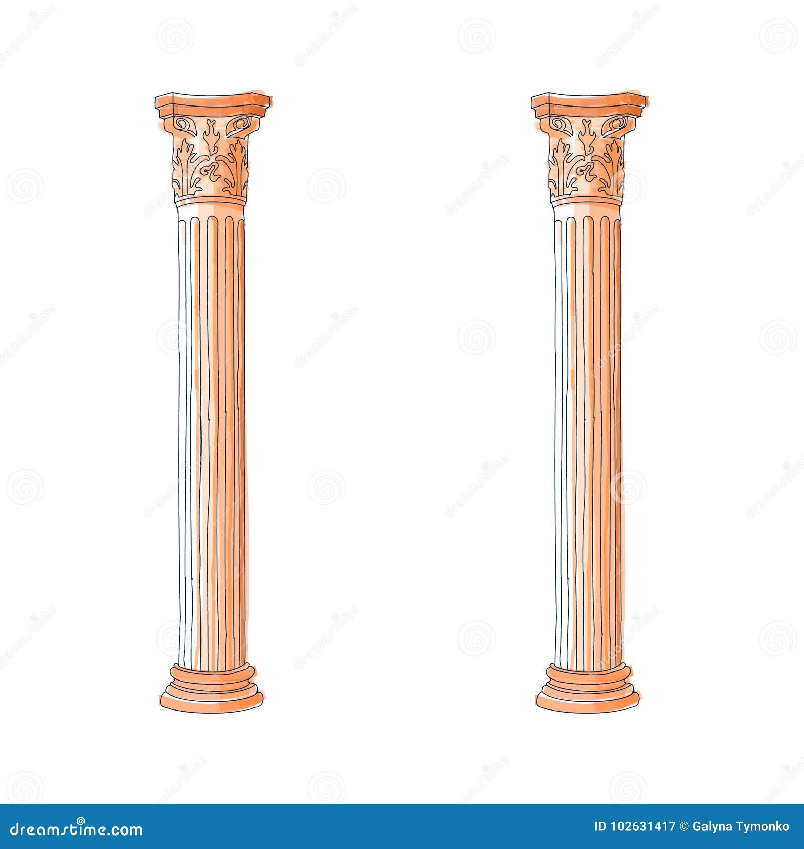 Classical Architectural Form Drawings In Set. Vector Drawing Design ...