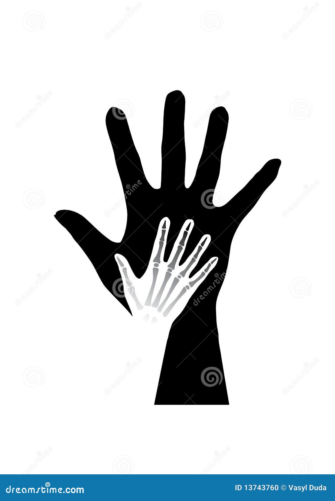 Stylized hands anatomy stock vector. Illustration of life - 13743760