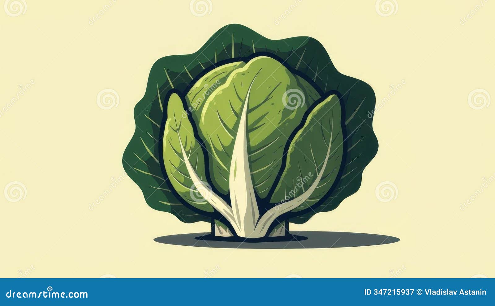 Stylized Head of Cabbage with Black Outline Stock Illustration ...