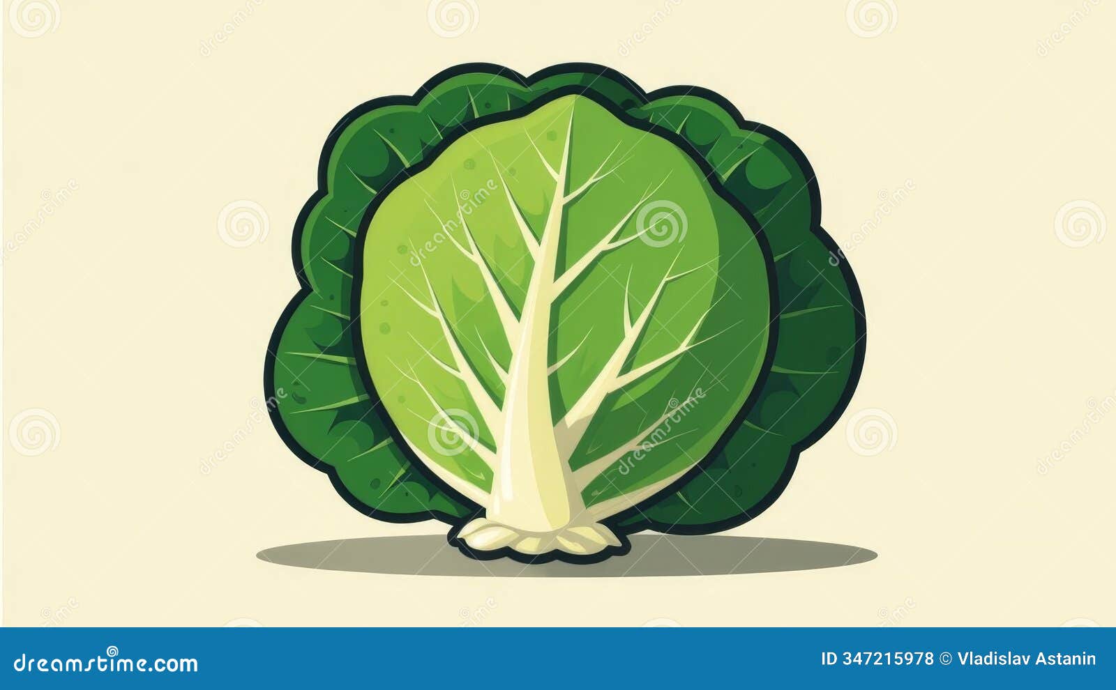 Stylized Head of Cabbage with Black Outline Stock Illustration ...