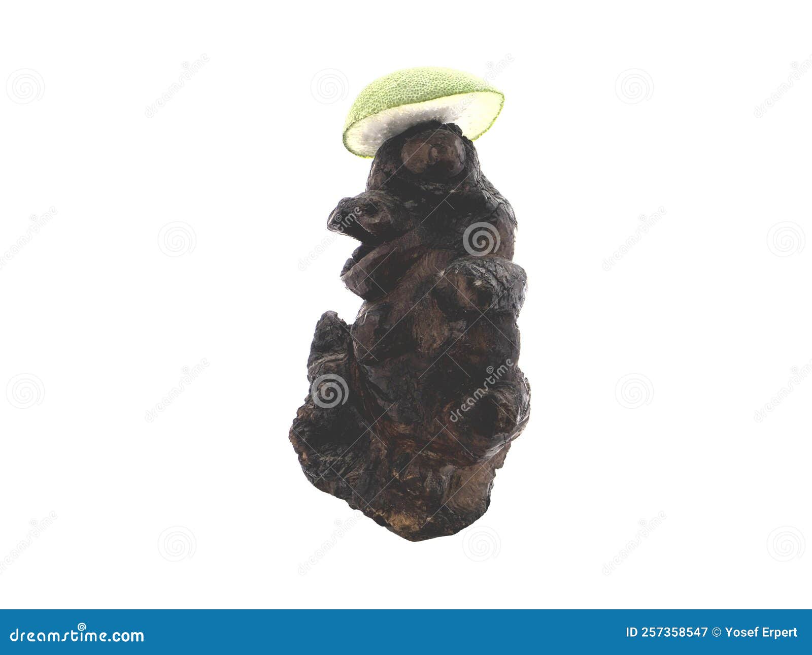 Stylized Human Figure Made from Tree Roots Stock Image - Image of ...