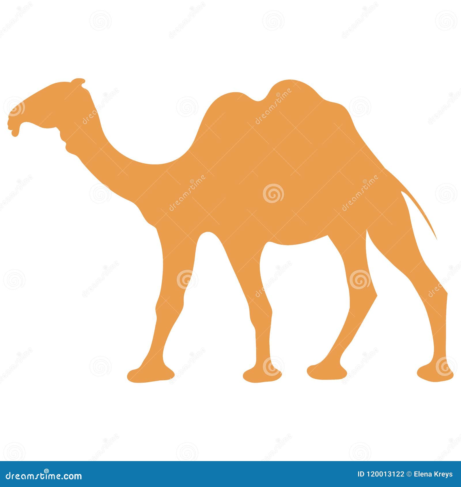 Stylized Icon of a Colored Camel Stock Vector - Illustration of drawing ...