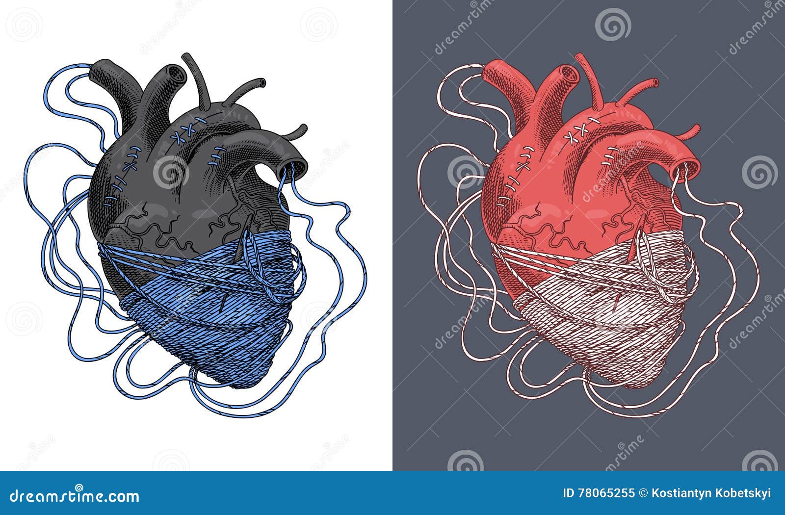 Stylized Illustration of Heart Tangled in Threads Stock Vector ...