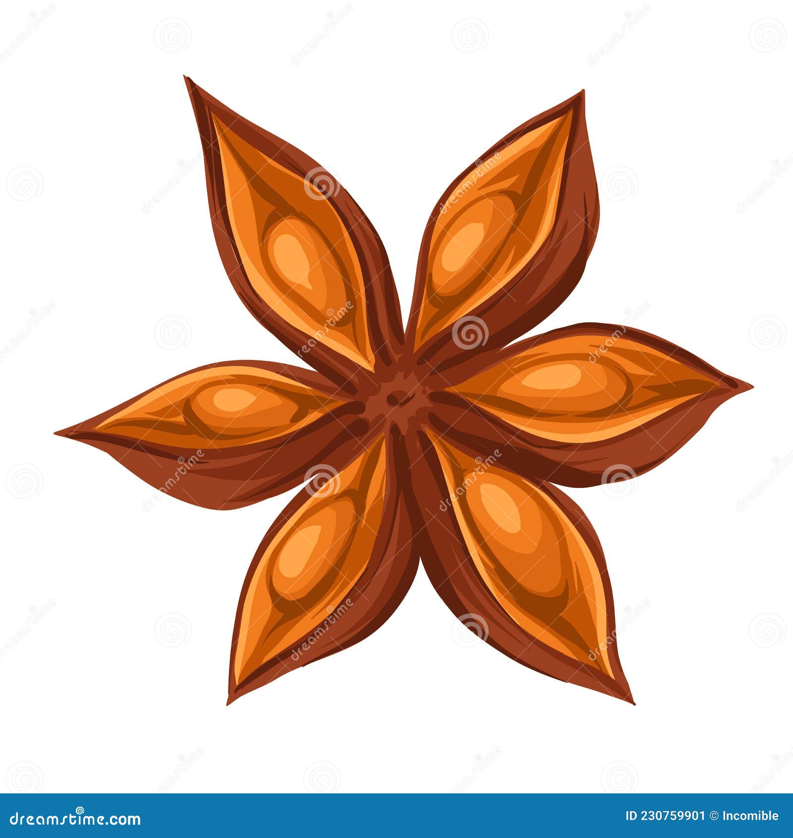 Stylized Illustration of Star Anise. Image for Design or Decoration ...