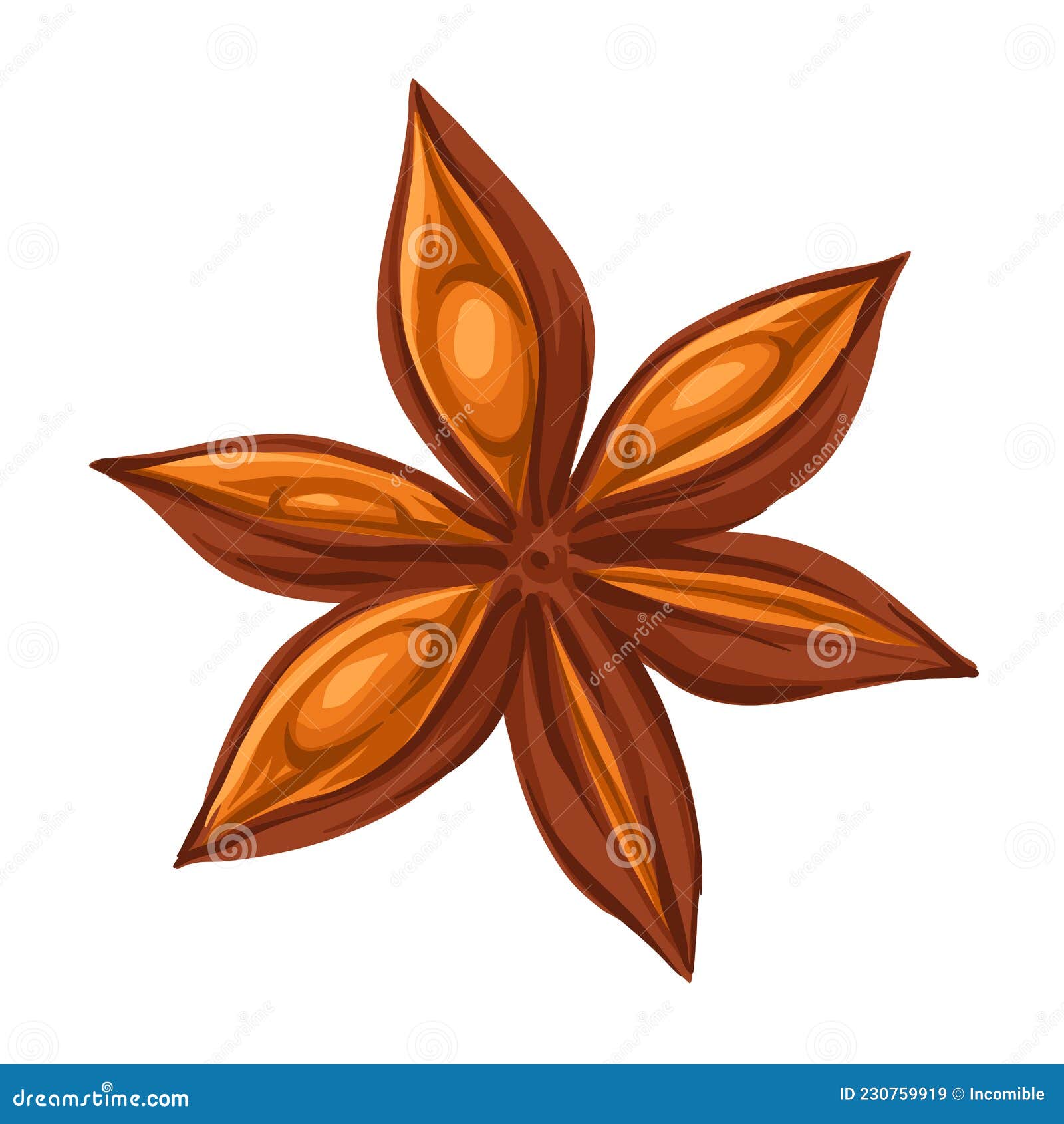 Stylized Illustration of Star Anise. Image for Design or Decoration ...