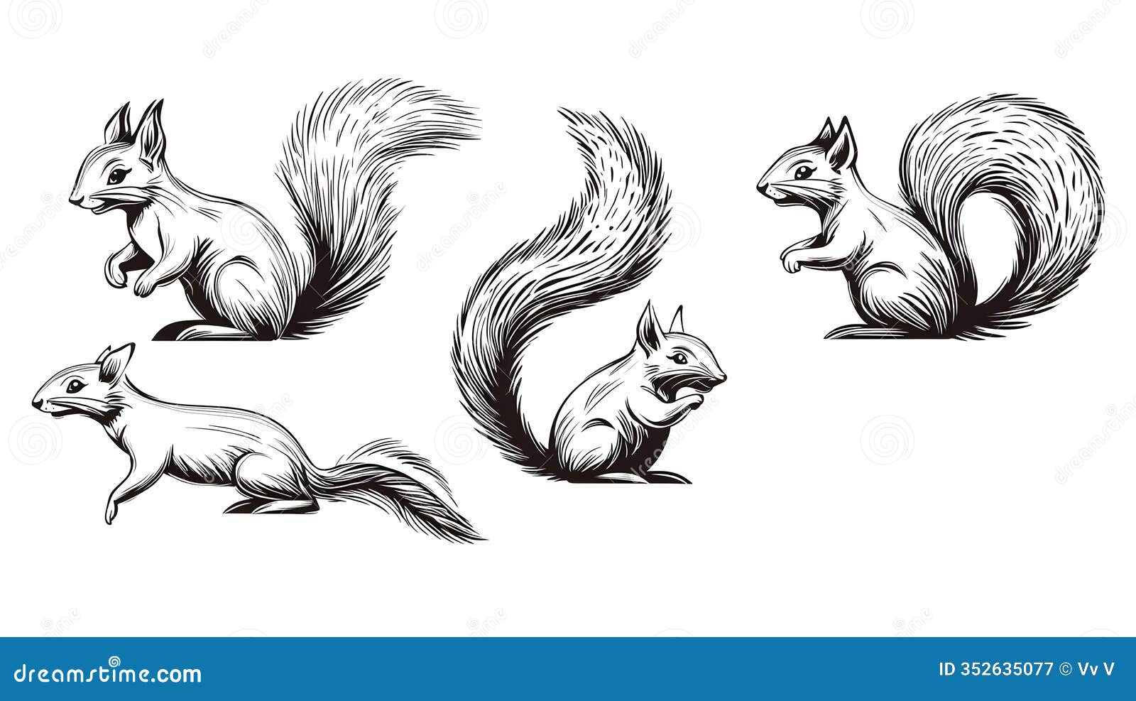 Stylized Illustrations of Squirrels in Various Poses Stock Illustration ...