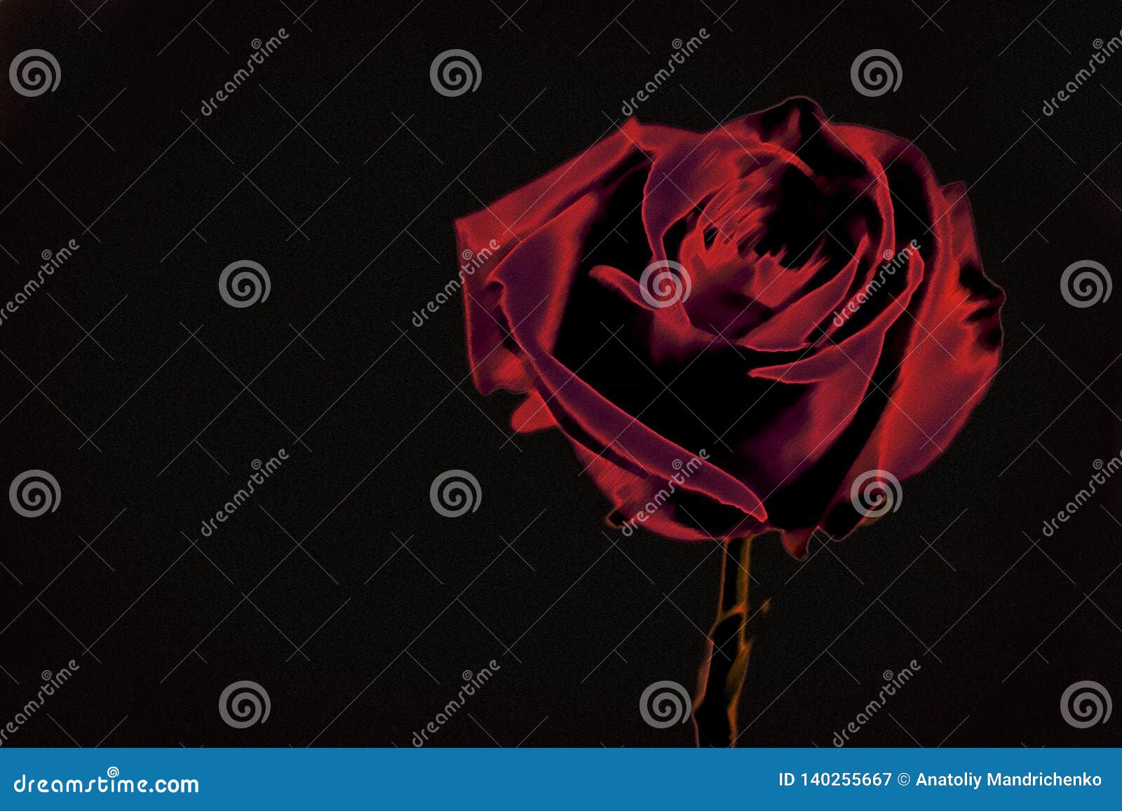 Stylized Image of a Red Rose on a Black Background Stock Illustration ...