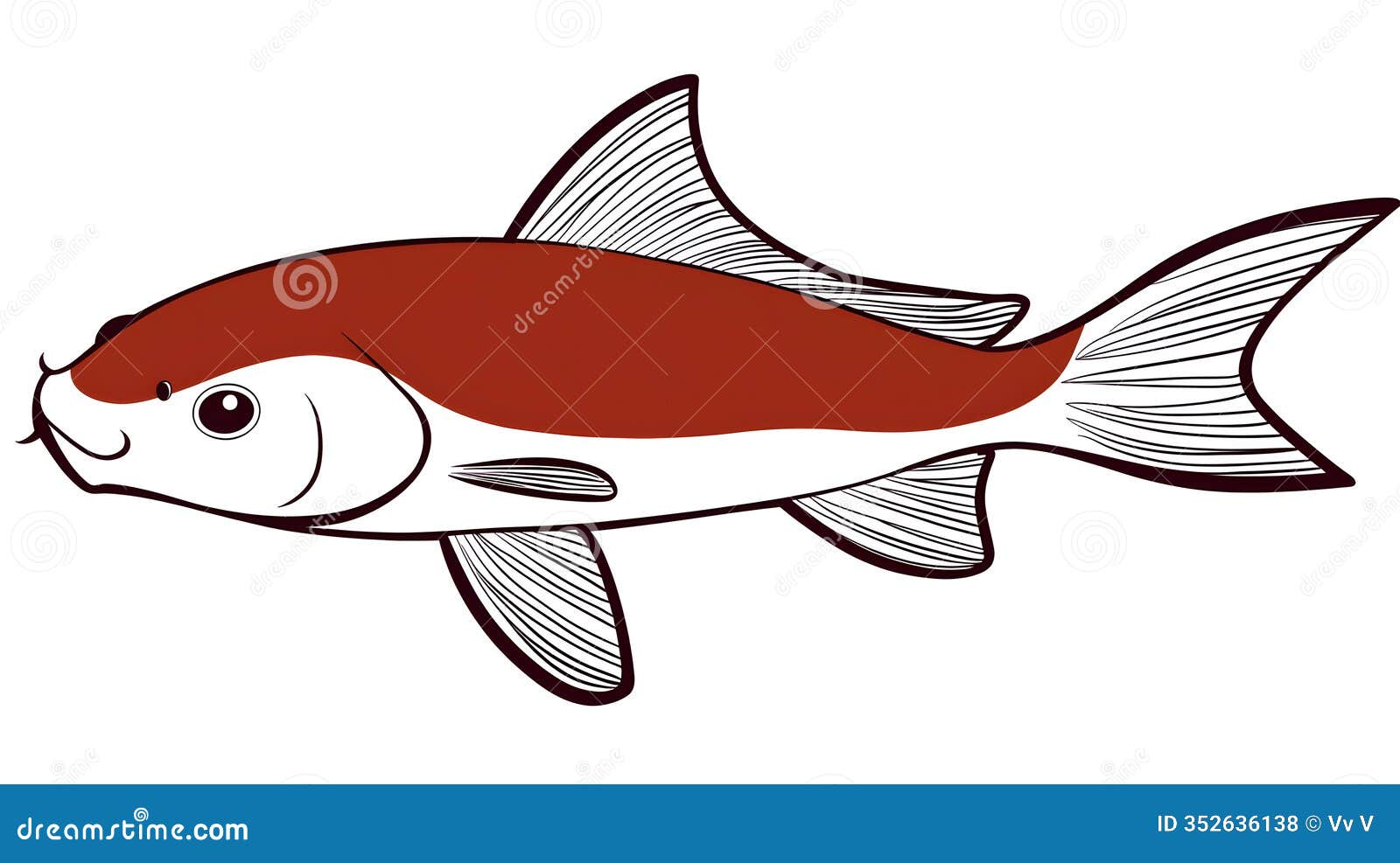 Stylized Koi Fish Illustration on White Background Stock Illustration ...
