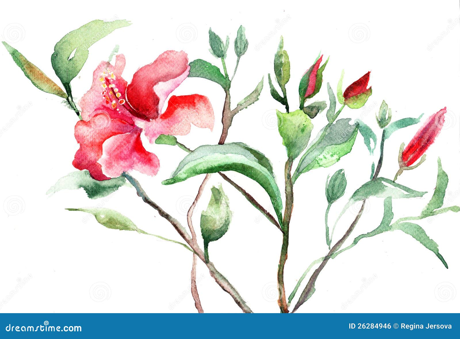 Malva Flower Seamless Pattern. Summer Floral Background With Flowers ...