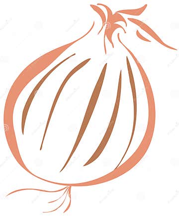 Stylized Onion Isolated Illustration Stock Vector - Illustration of ...
