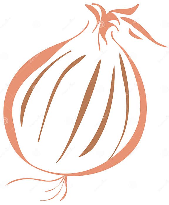 Stylized Onion Isolated Illustration Stock Vector - Illustration of ...