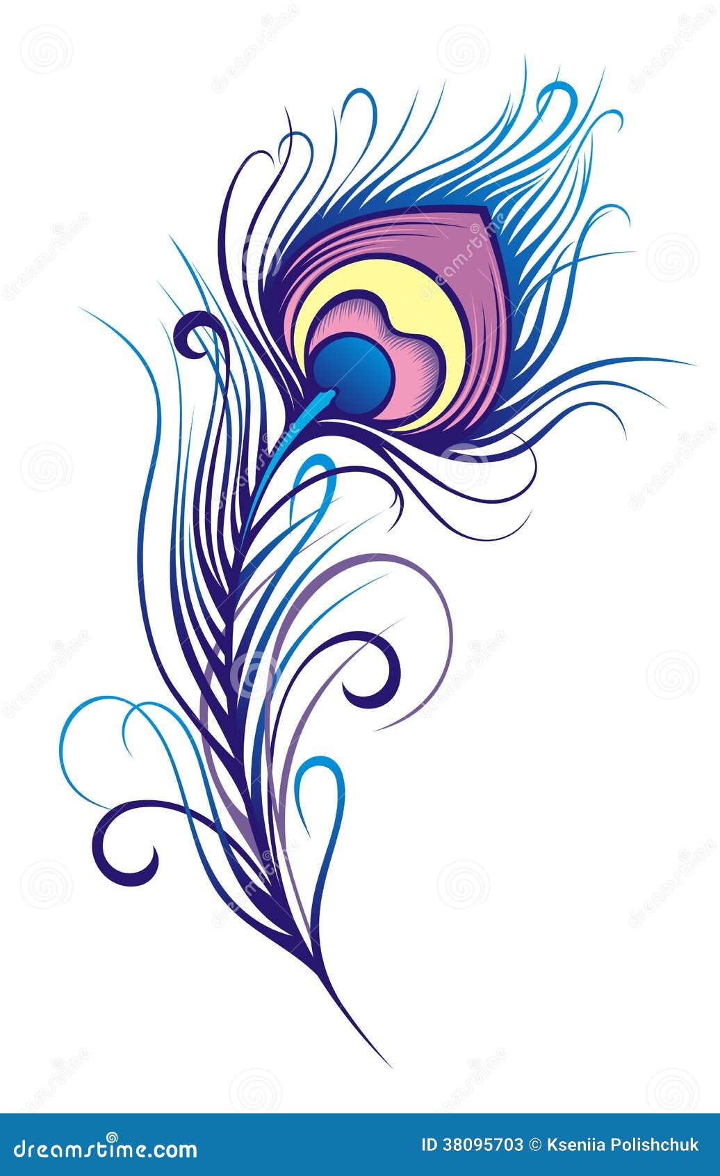Peacock Tail Vector