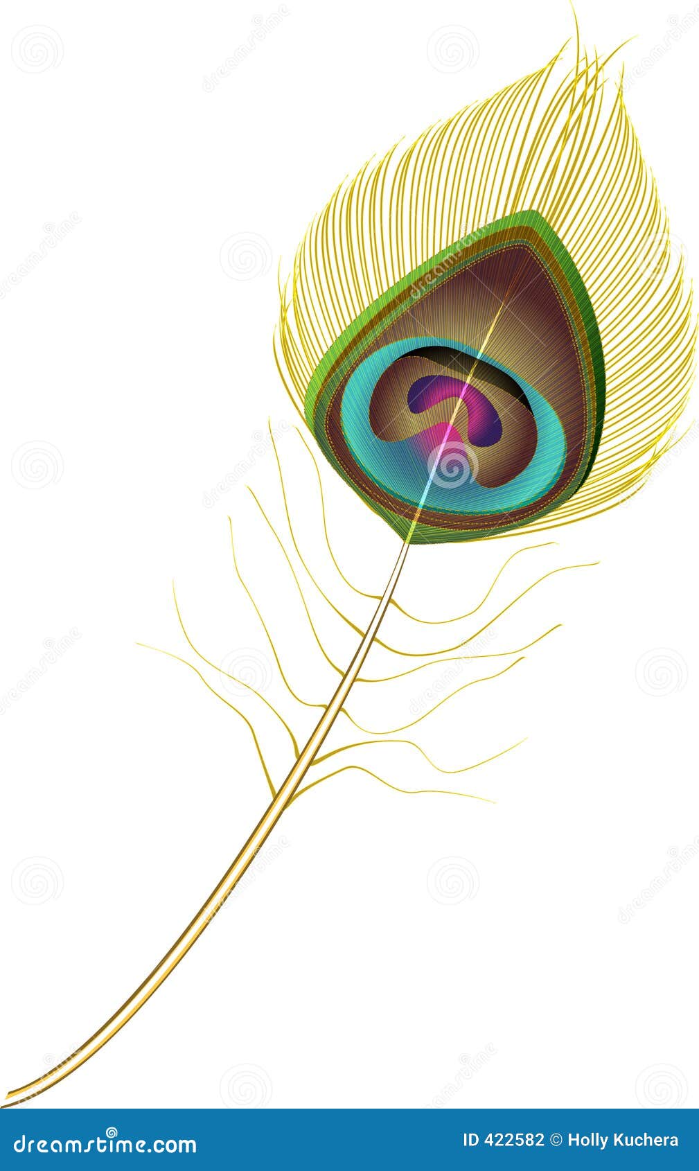 Stylized Peacock Feather Stock Illustrations – 1,424 Stylized Peacock ...