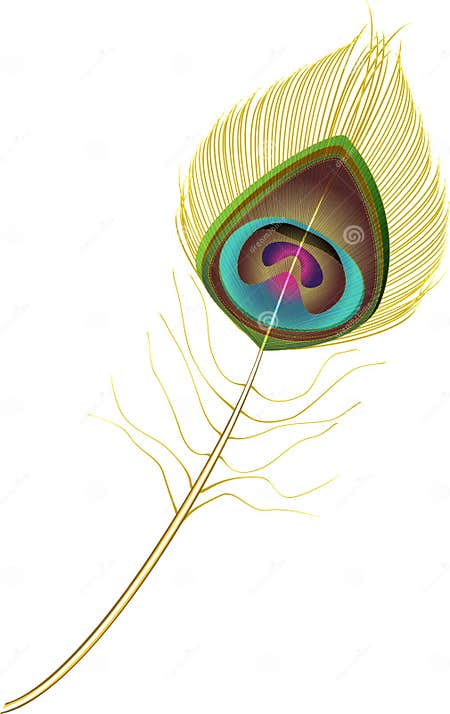 Stylized Peacock feather stock illustration. Illustration of artwork ...
