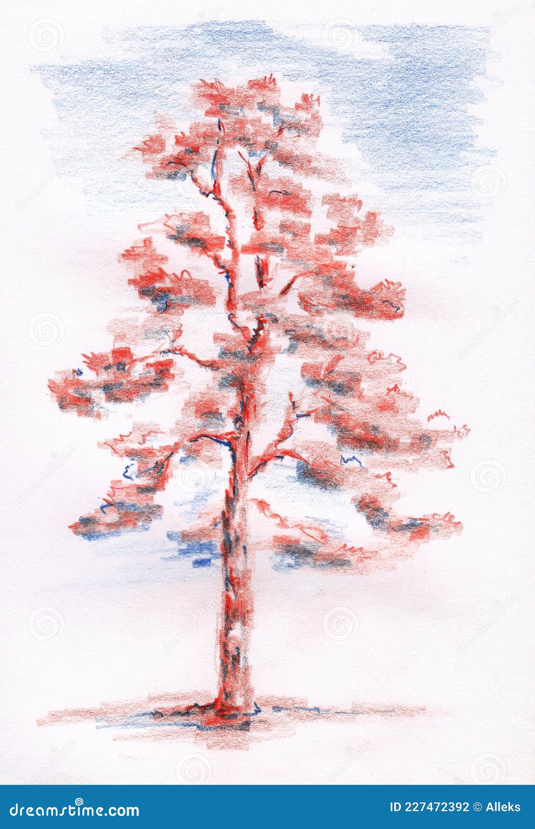 Stylized Pine Tree in Red and Blue Colors Stock Illustration ...