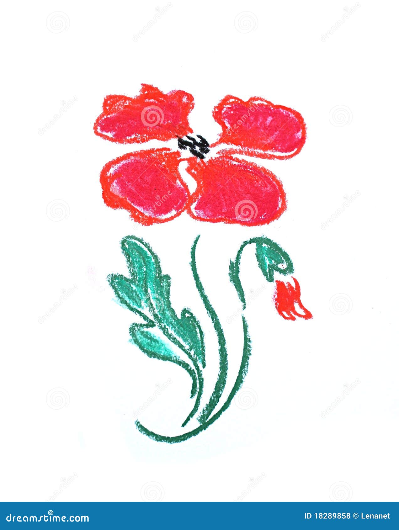 Stylized poppy flower stock illustration. Illustration of foliage ...