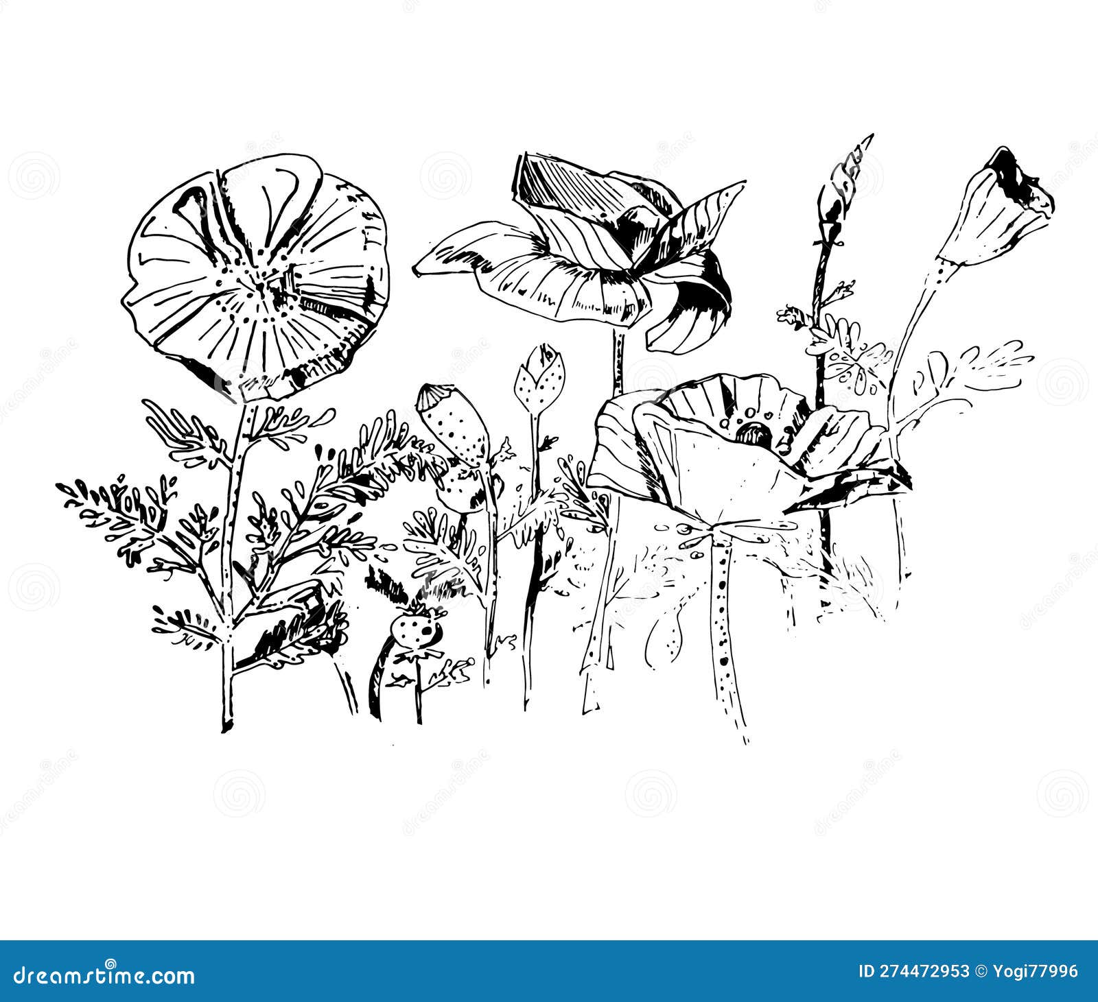 Stylized Poppy Flowers 2d Drawing. Stock Illustration - Illustration of ...