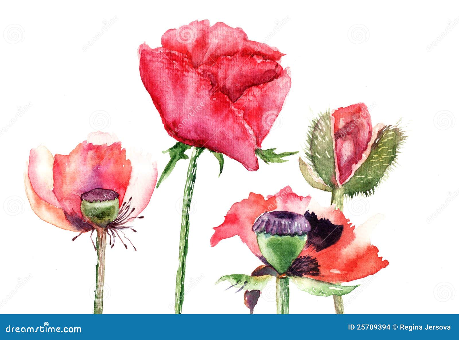Stylized Poppy Flowers Illustration Stock Illustration - Illustration ...
