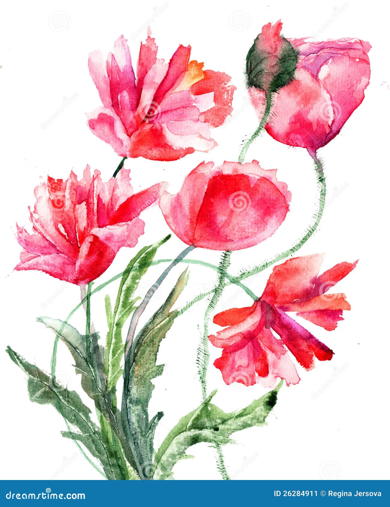 Stylized Poppy Flowers Illustration Stock Illustration - Illustration ...