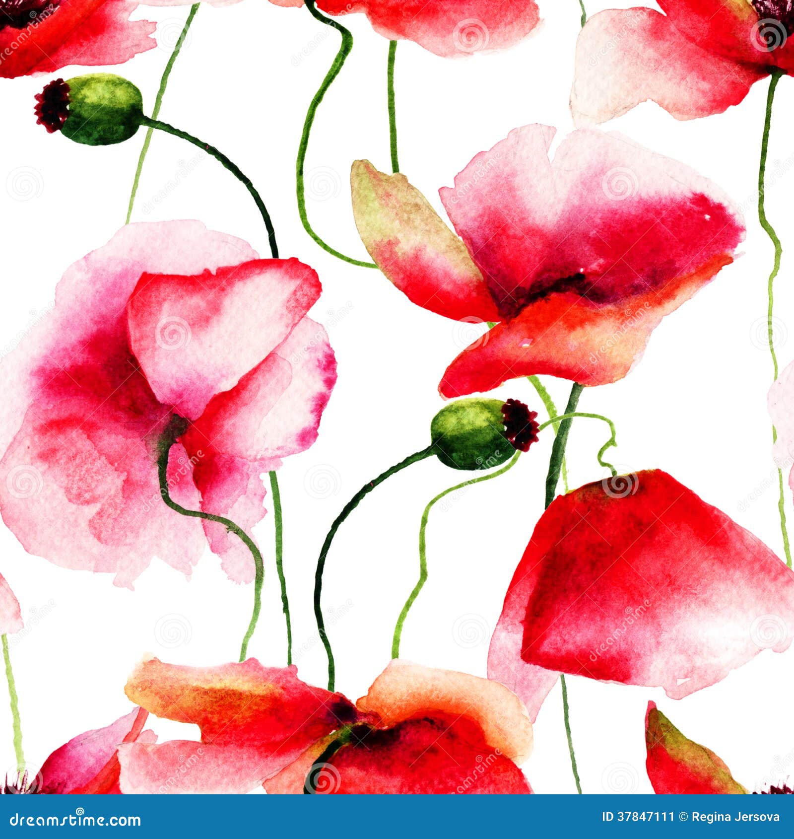 Stylized Poppy Flowers Illustration Stock Illustration - Illustration ...