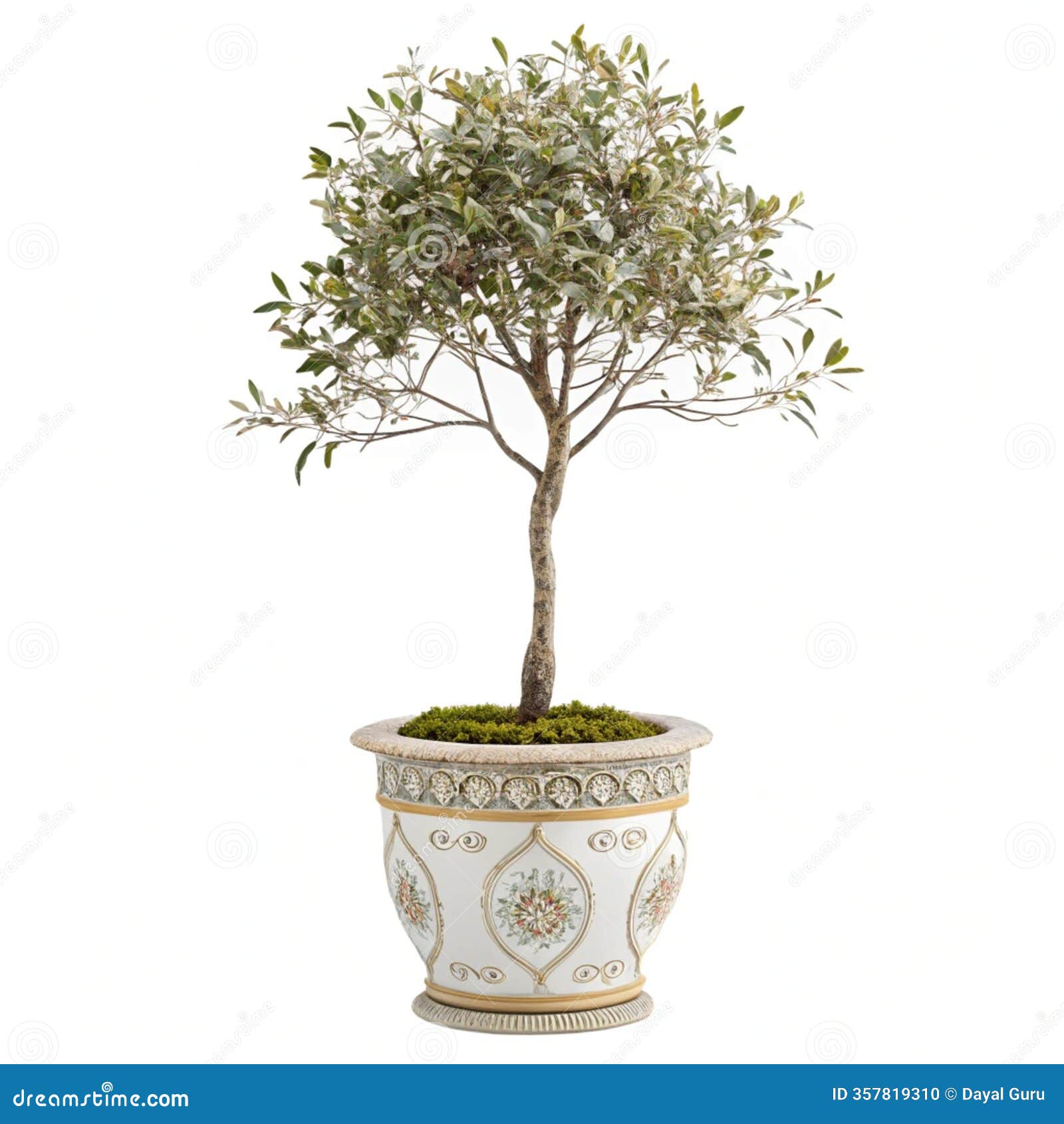 Stylized Potted Tree On Transparent Background Royalty-Free Stock Image ...