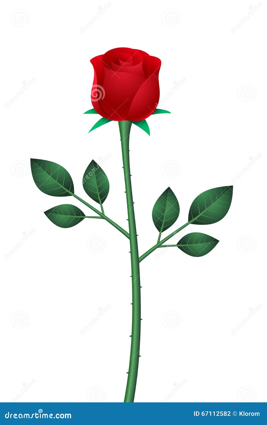 Stylized rose with leaves stock vector. Illustration of romantic - 67112582