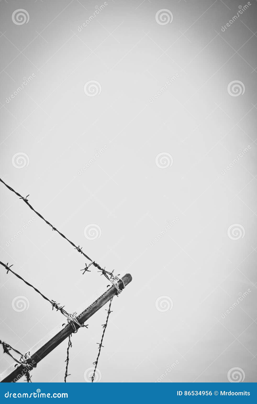 Stylized Black Barbed Wire Stock Photos - Free & Royalty-Free Stock ...