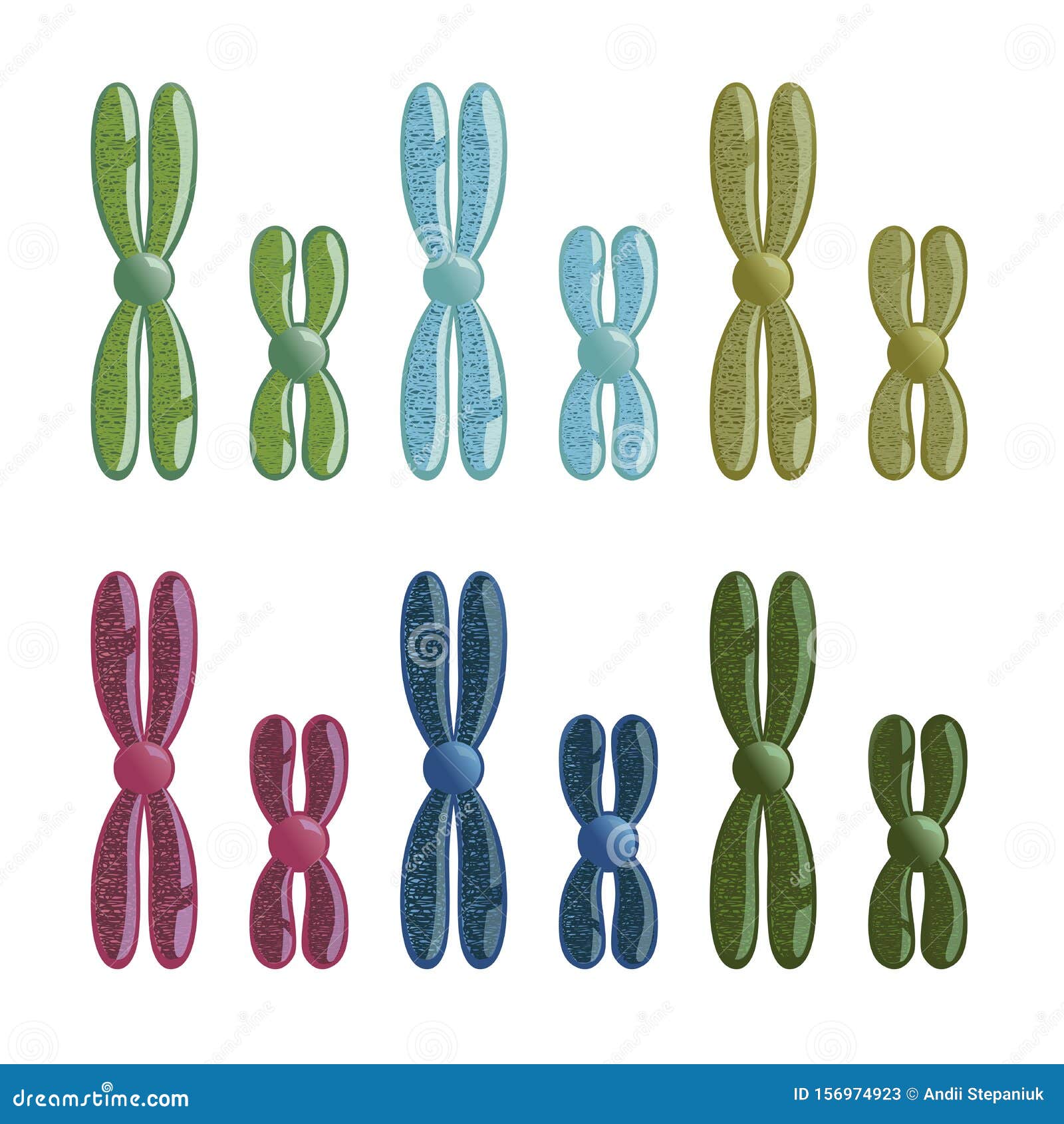 Stylized Set of Vector Chromosomes Stock Vector - Illustration of ...