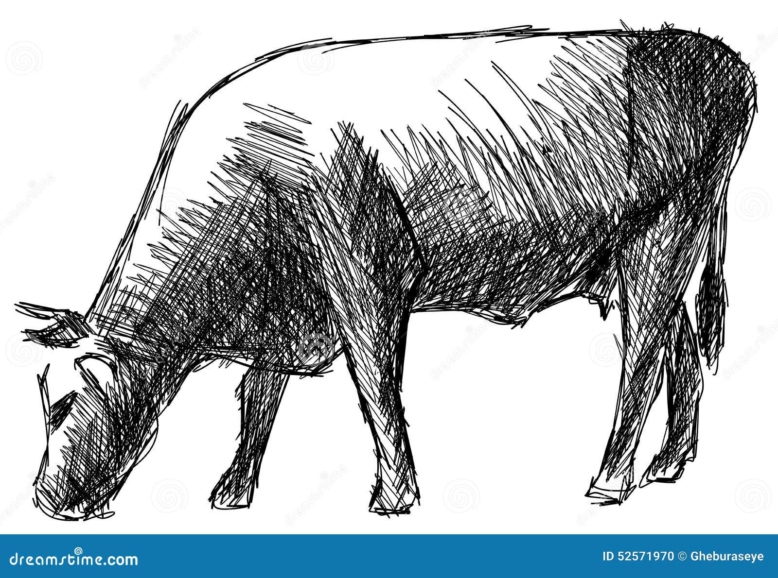 Stylized Skissar Av En Isolerad Ko Stock Illustrationer - Illustration ...