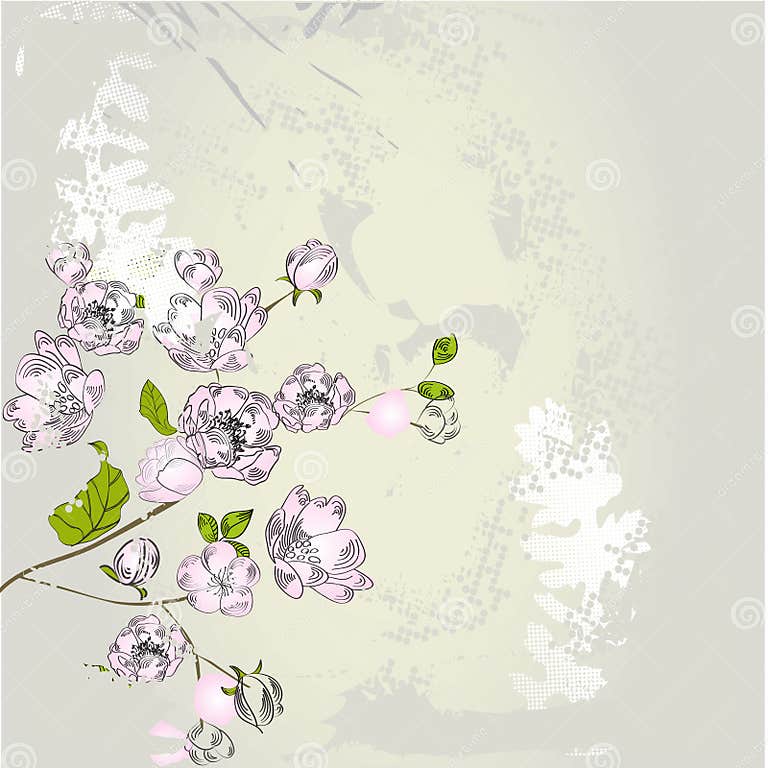 Stylized spring background stock vector. Illustration of engraving ...