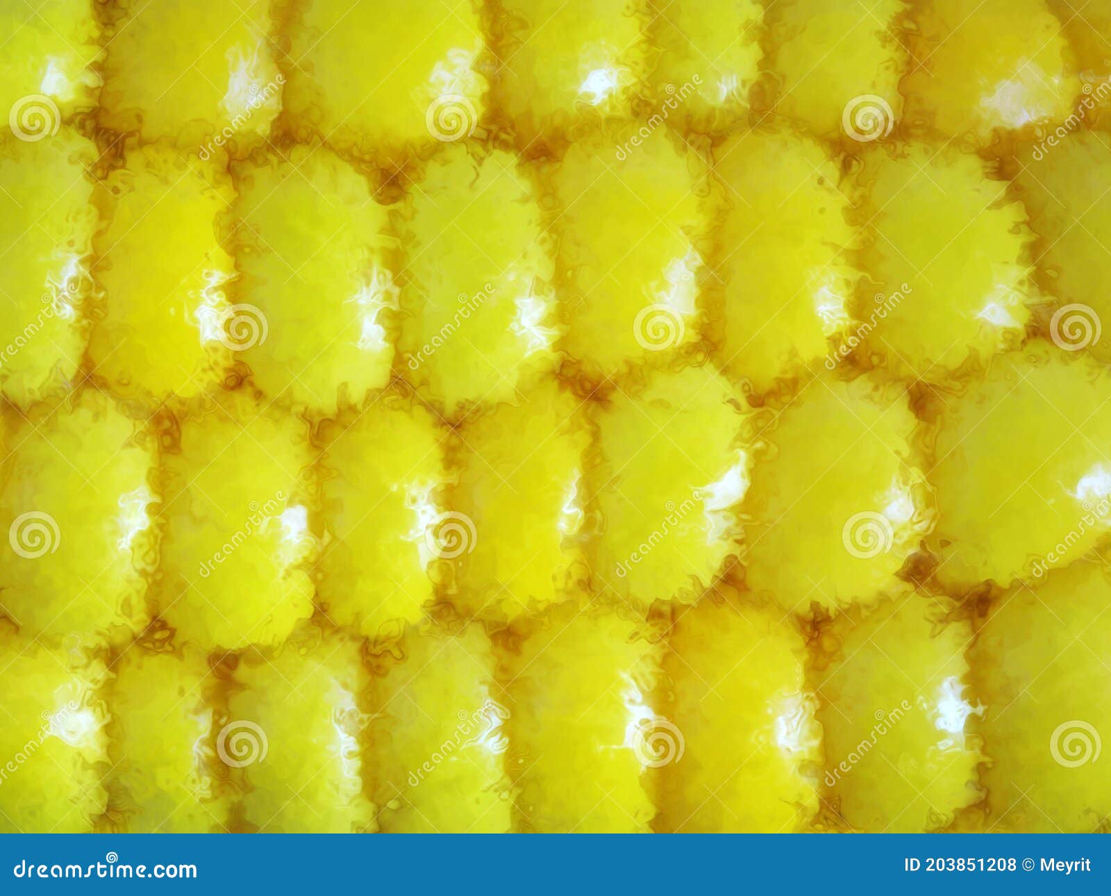 Stylized Corn Cob Stock Photos - Free & Royalty-Free Stock Photos from ...